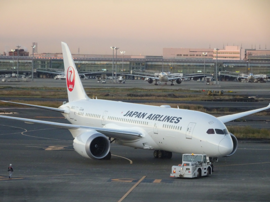 JAL 国内線仕様 B787-8 撮影!! - 気ままな飛行機人のプログ